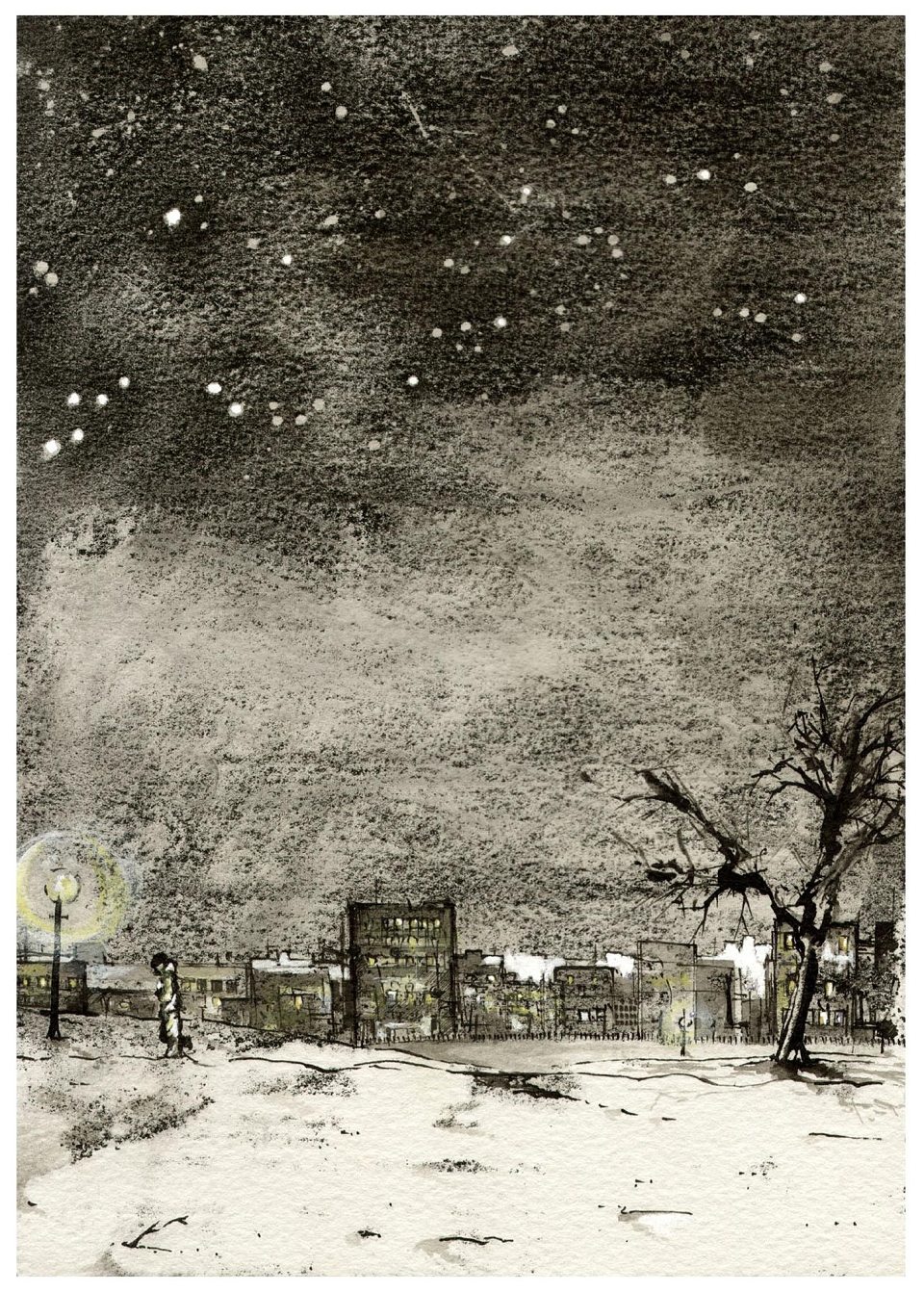 David Penzer Portfolio by David Penzer