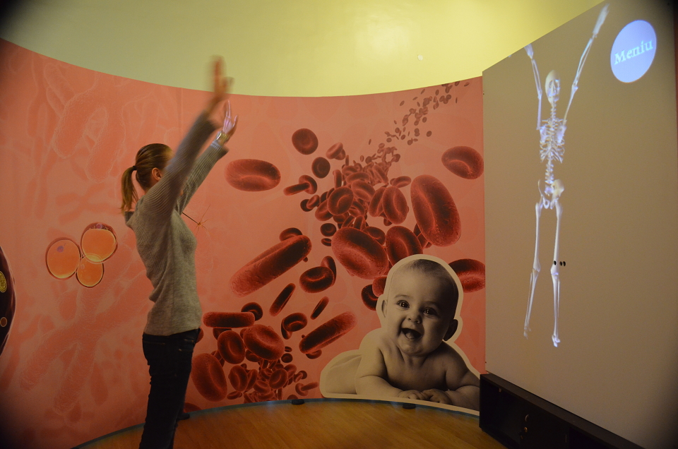 Museum skeleton Avatar by Evolve Media for Museum of Man