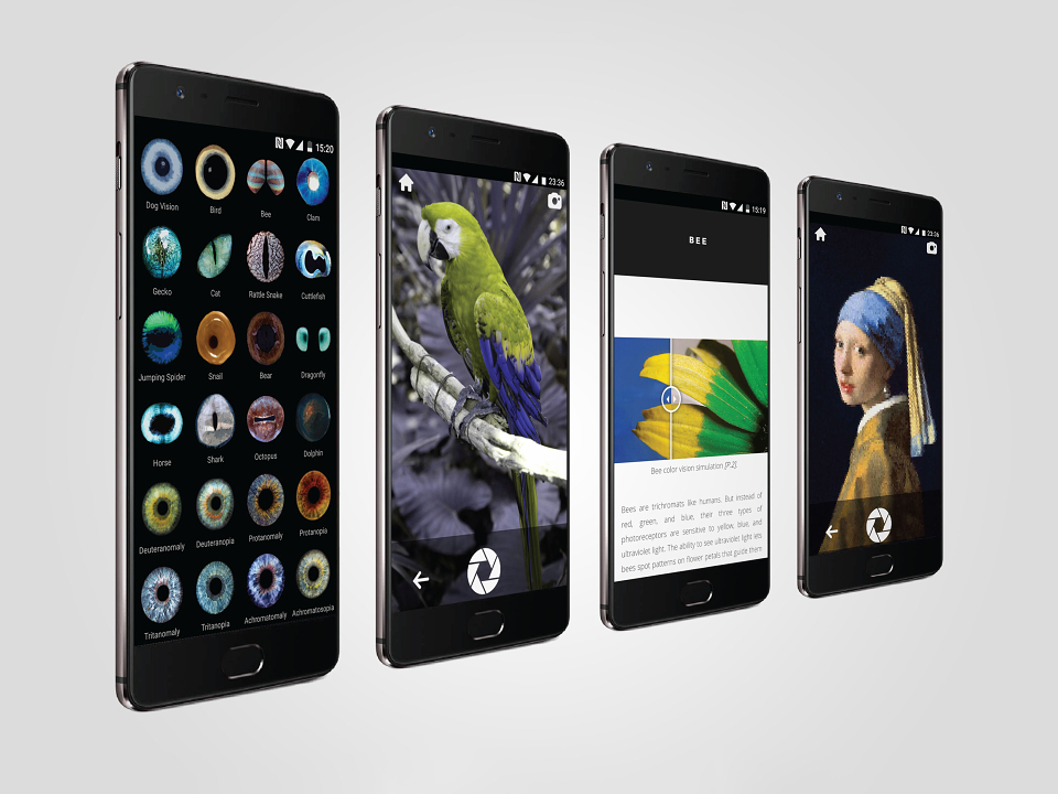 Animal Vision Simulator by Michal Miszczyk