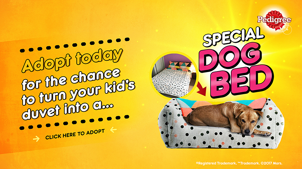 The Pedigree Child Replacement Programme by Colenso BBDO for Mars NZ