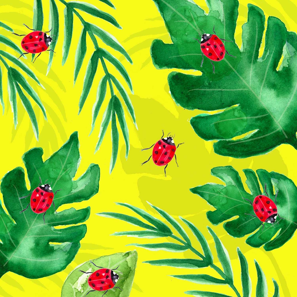 Ladybird Pattern by Maria Taylor