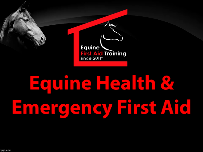 Equine First Aid PowerPoint Presentation by Theresa Allen for Equine ...