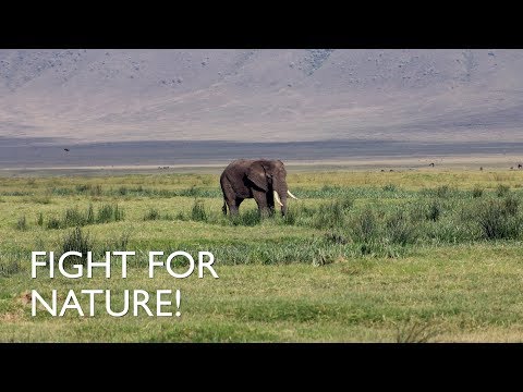 FIGHT FOR NATURE! feat. Greta Thunberg, Jane Goodall, Sir David ...