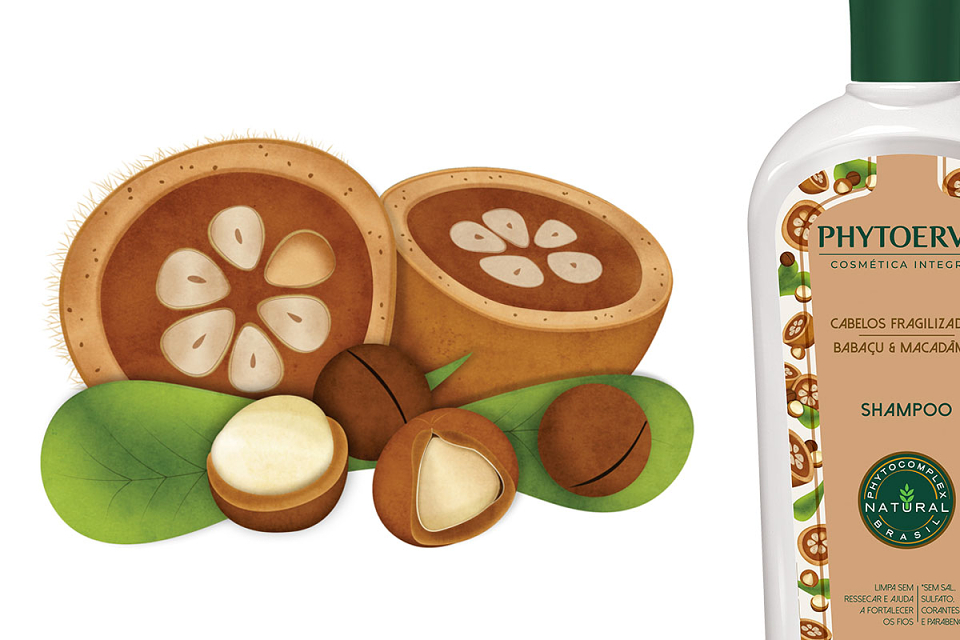 Illustration for Phytoervas Packaging by Andrea Ebert