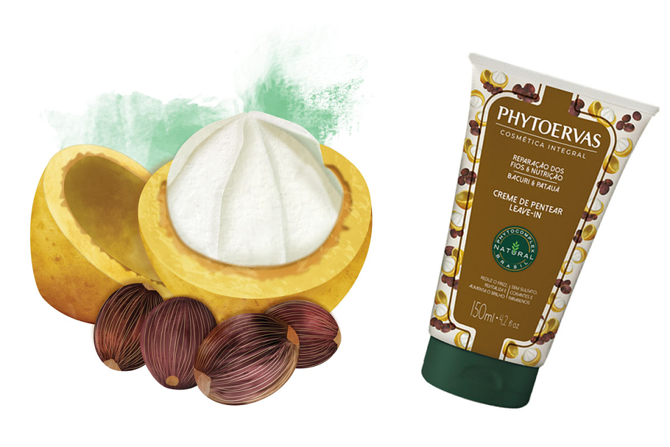 Illustration for Phytoervas Packaging by Andrea Ebert