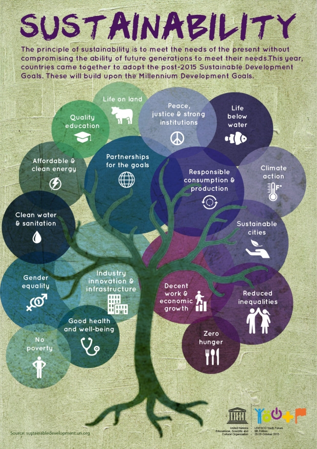 Unesco Youth Infographics by Silvina De for UNESCO