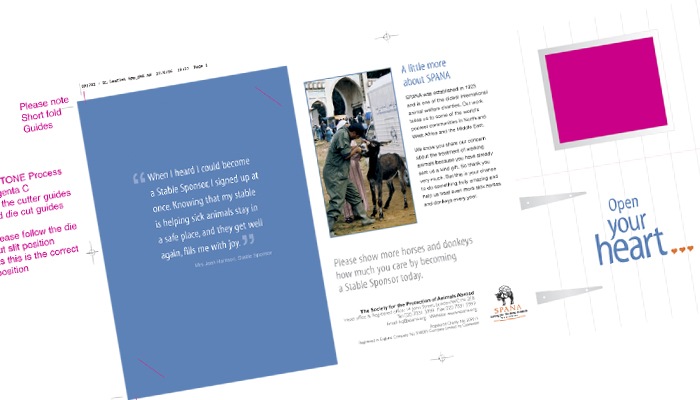 Portfolio by Bruce Brendon