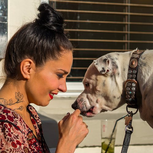 Lisa Reich's Instagram, Twitter & Facebook on IDCrawl