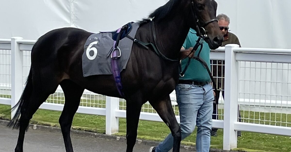 RaceShare | Ann Terry makes her second start