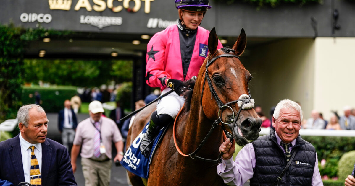 Scampi runs in the Ebor on Saturday! - RaceShare