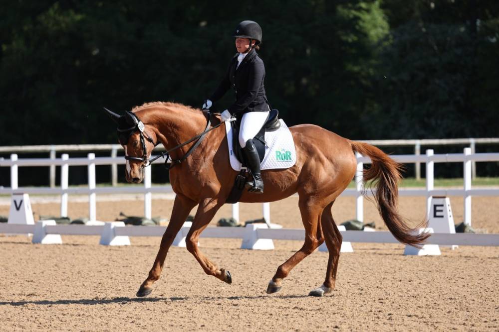 Sharon Nightingale - RoR Source a Horse - RoR Source a Horse