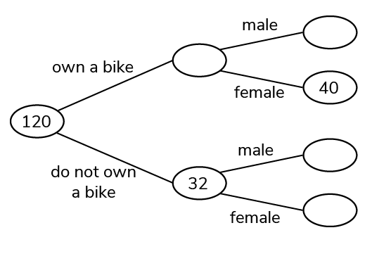 Maths Practice and Support for Years 9-11