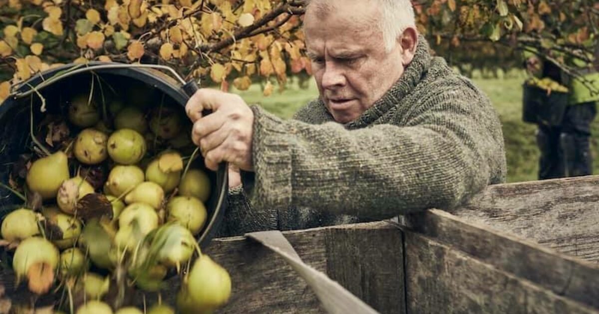 Hogan's Cider | James Clay and Sons