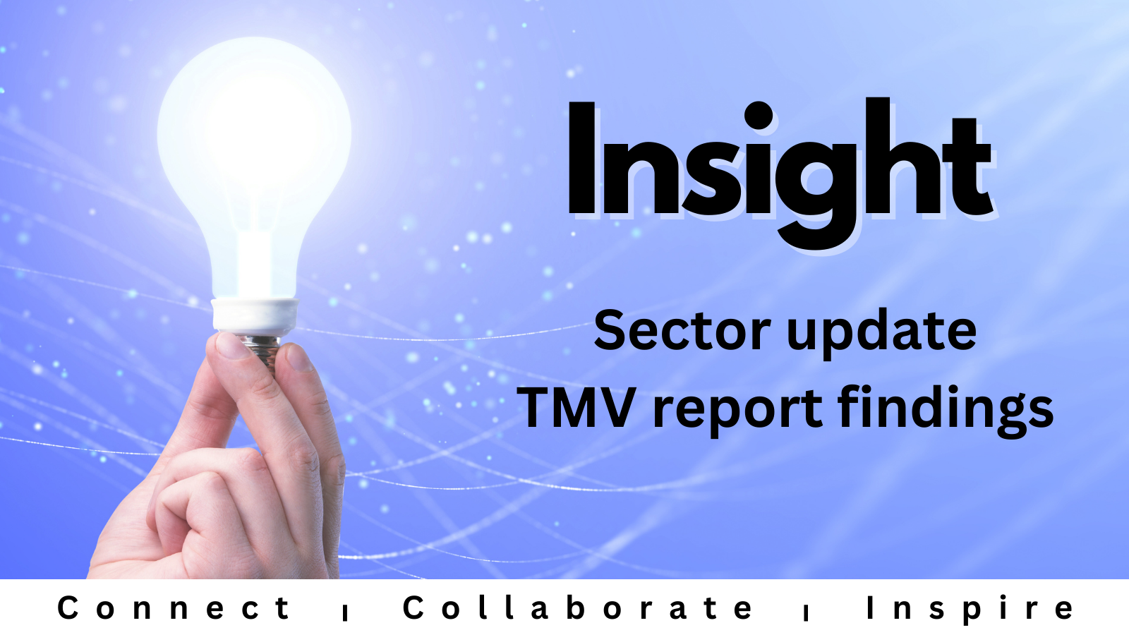 Insight – Sector update and TMV report findings – NASBTT