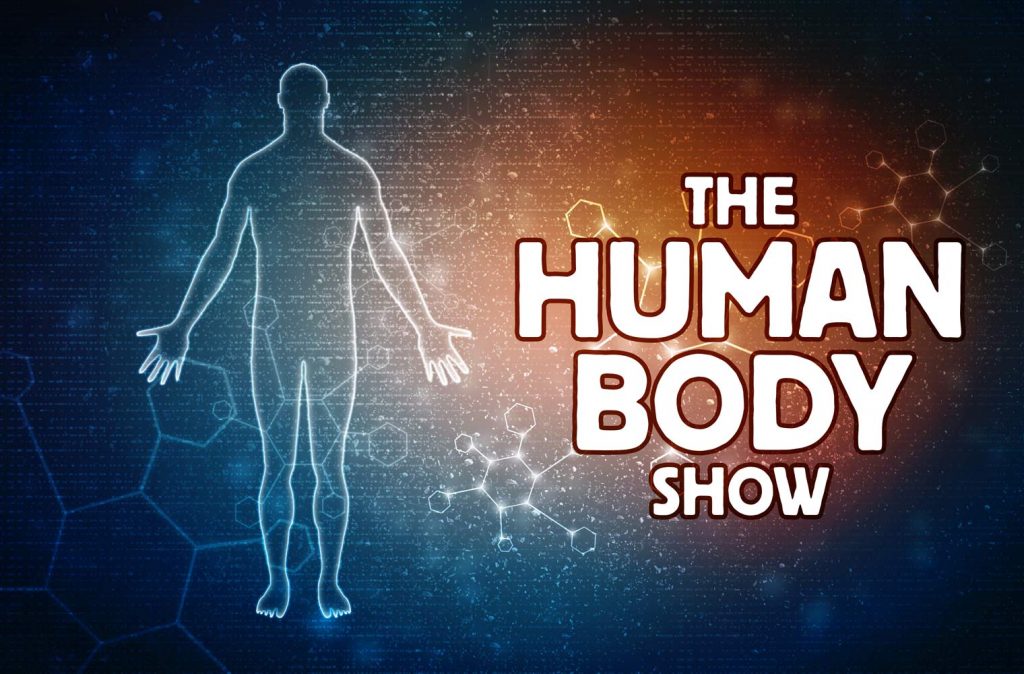 The Human Body Show • Techniquest