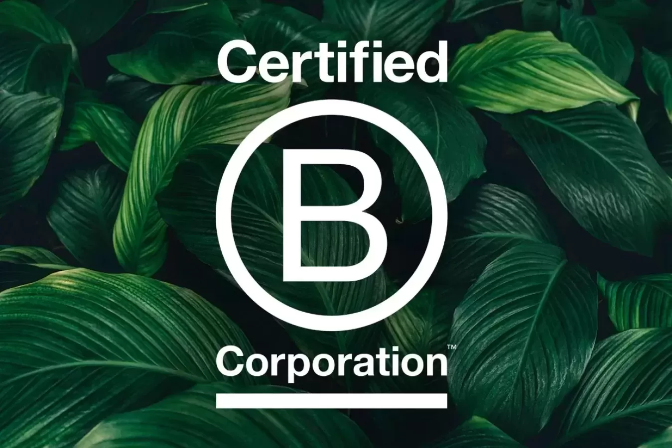 Lifestyle Business- We are B Corp Certified!