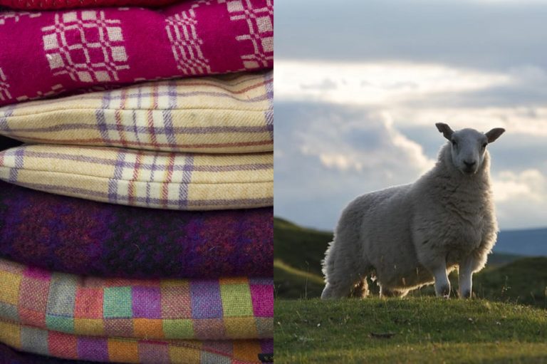 Welsh wool: How a once thriving industry could provide a monumental ...