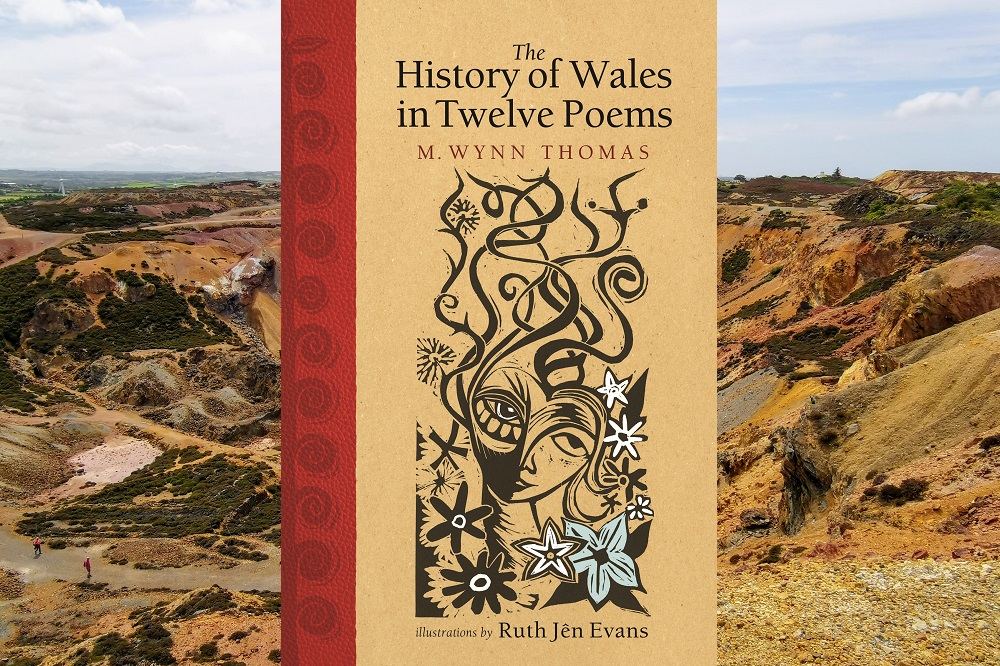 Review: The History of Wales in Twelve Poems is a delightfully ...