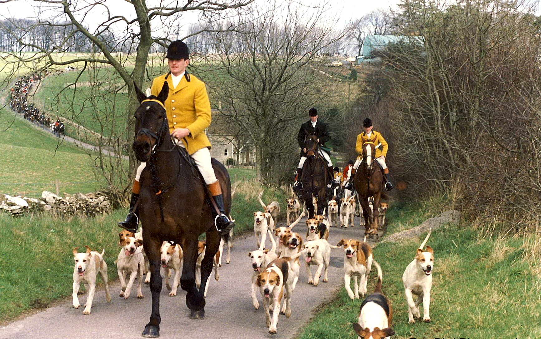 Natural Resources Wales bans trail hunting on its land