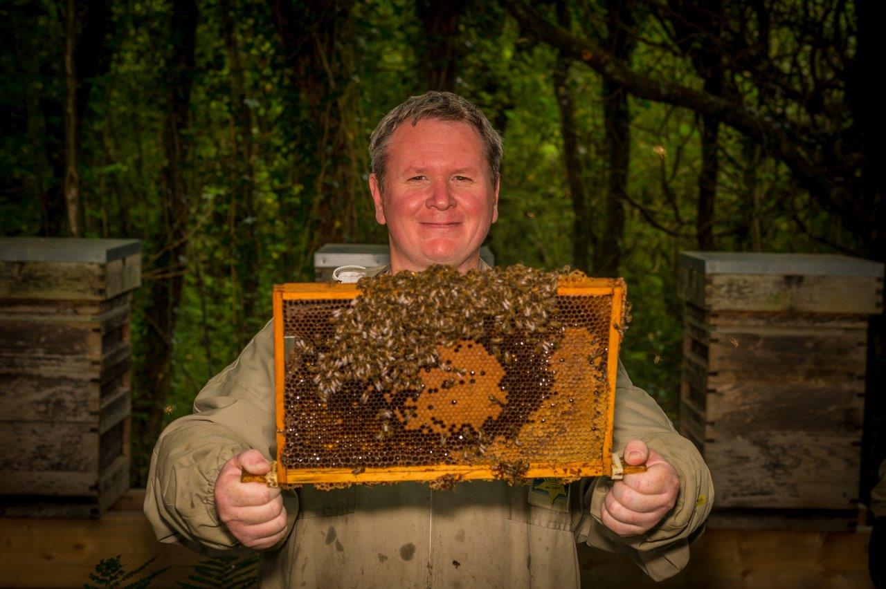 Un-bee-lievable: Welsh bee farm scoops sustainability award for carbon ...
