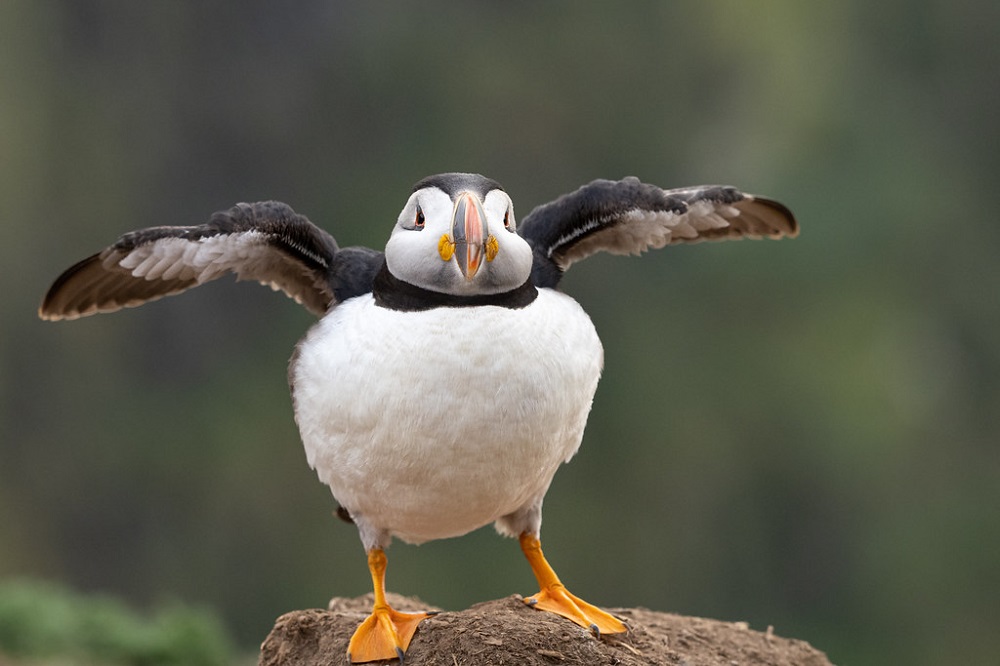 Tawny Clark is huffin' and puffin as she knows what she's missing