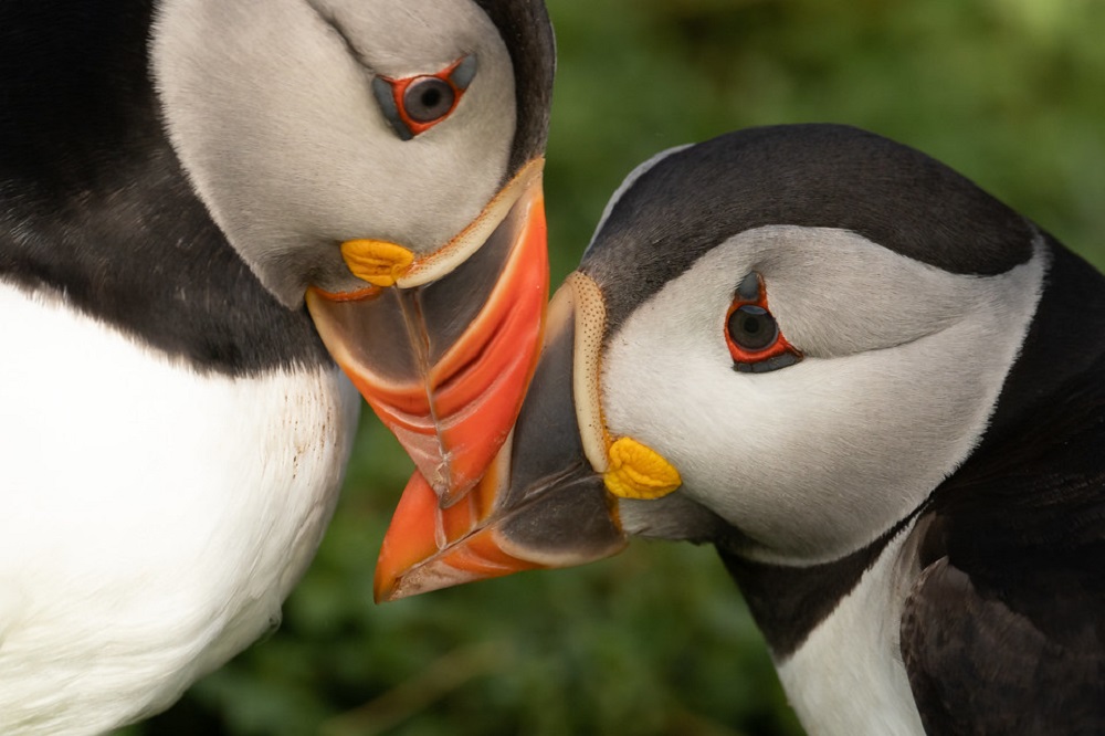 Tawny Clark is huffin' and puffin as she knows what she's missing
