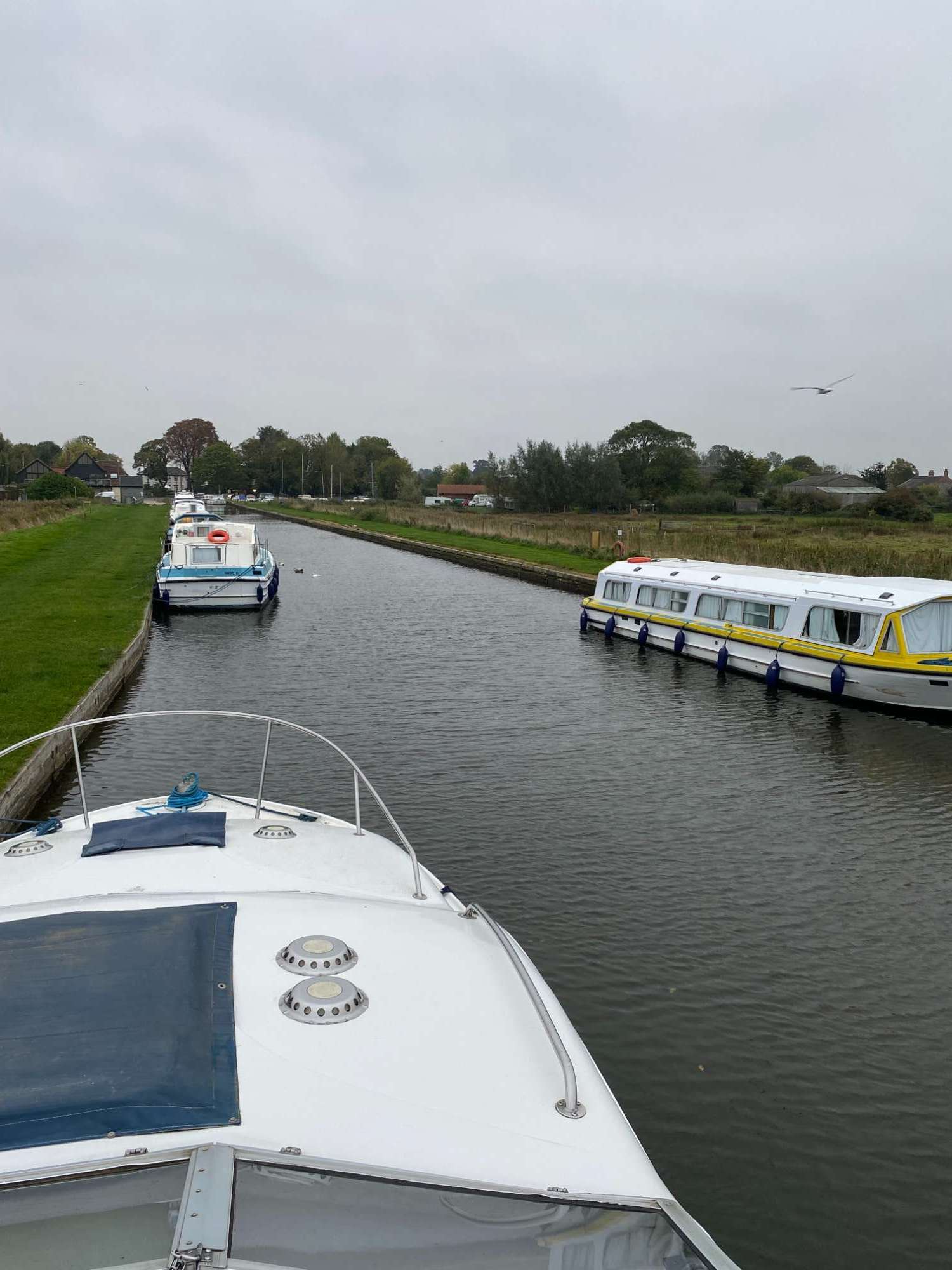 Norfolk Broads Network - Forums
