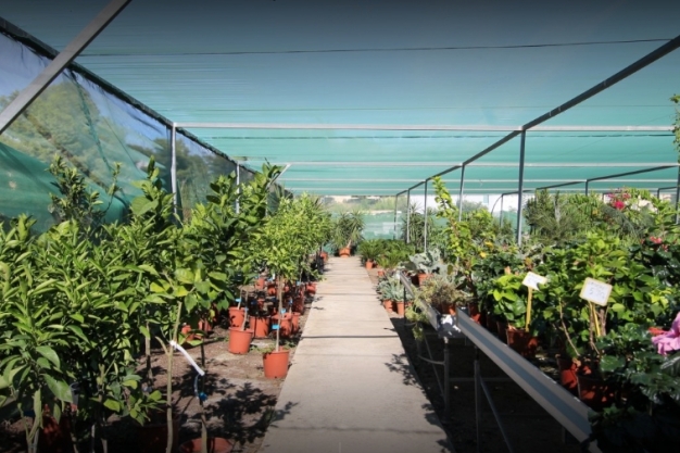 La Merced Garden Centre | Garden Centres in Costa Blanca