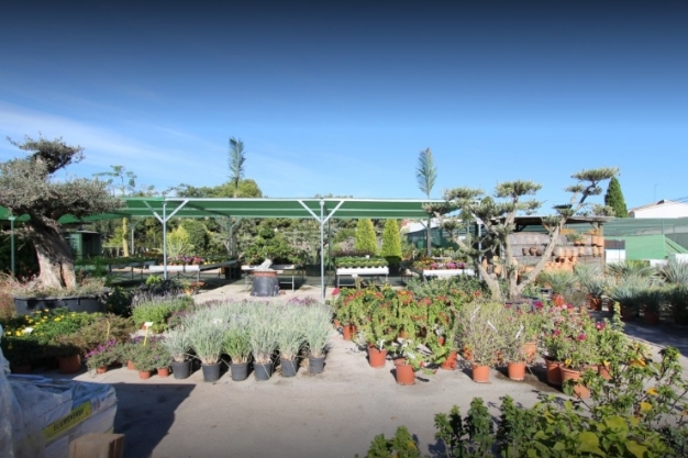 La Merced Garden Centre | Garden Centres in Costa Blanca