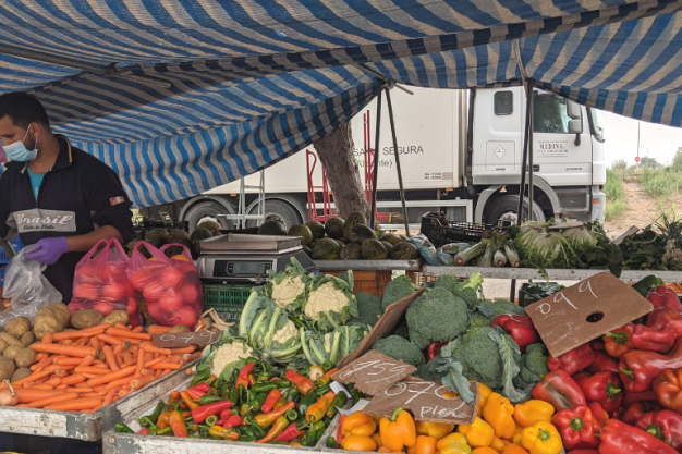 Markets Guide: Pedreguer Sunday Market | Costa Blanca Markets & Rastros ...