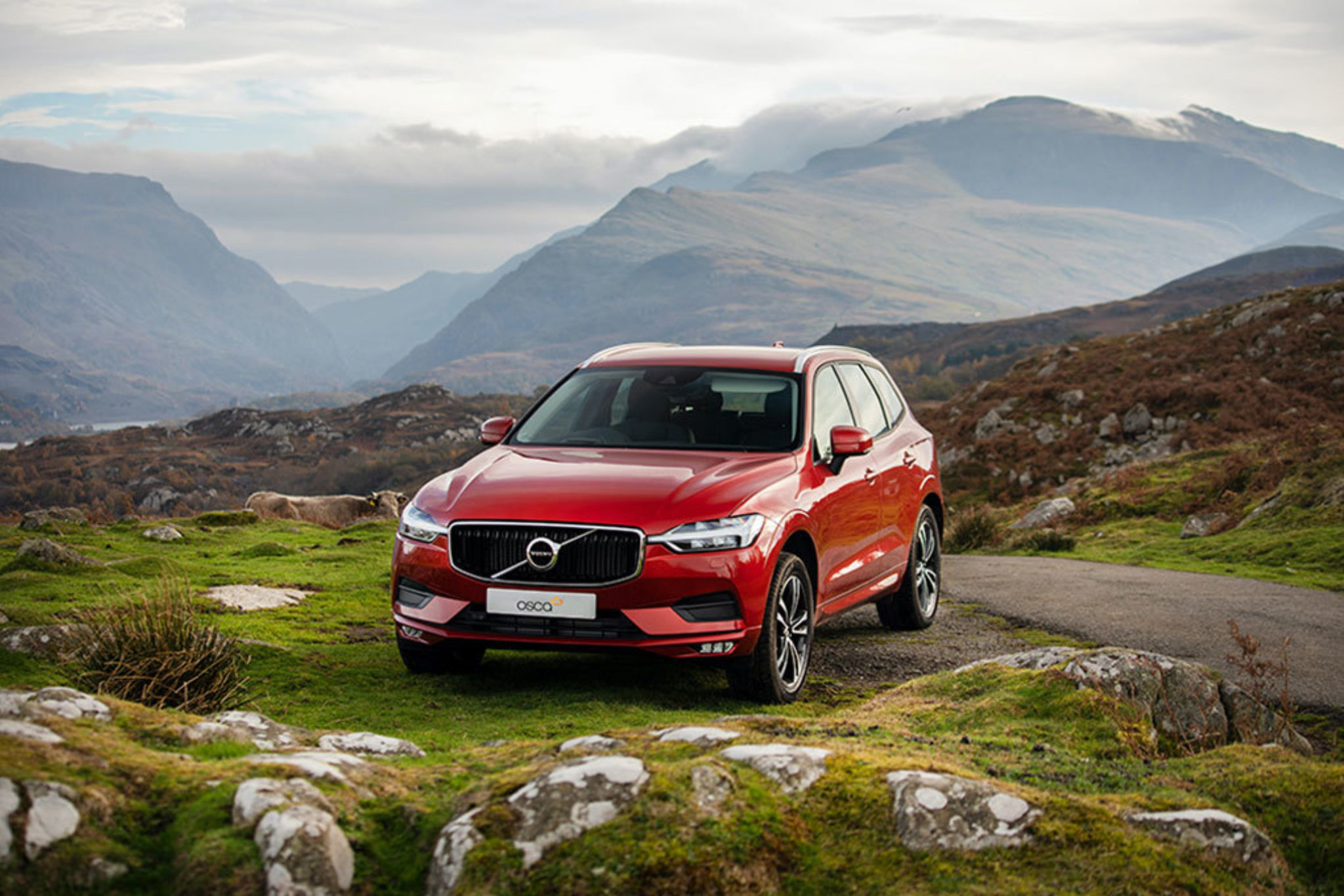 OSCA | DoIP has come to OSCA!