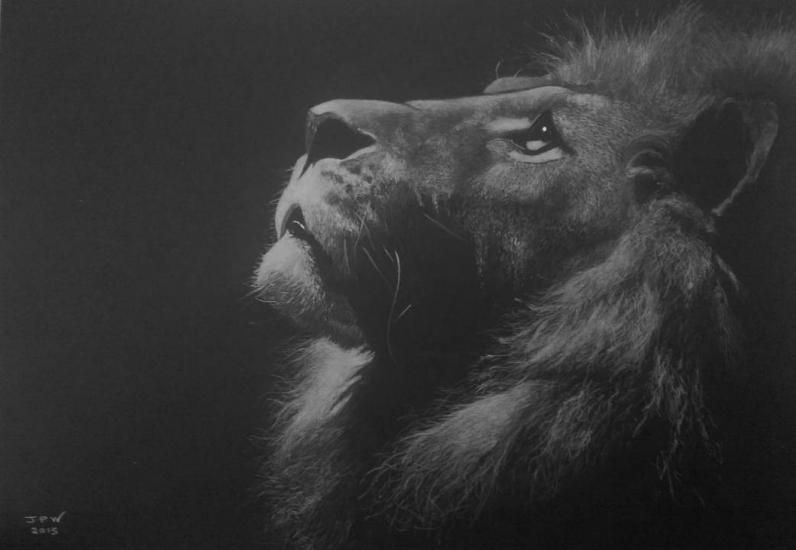 Drawing My Lion drawing (second go) by JPW Artist | OurArtCorner