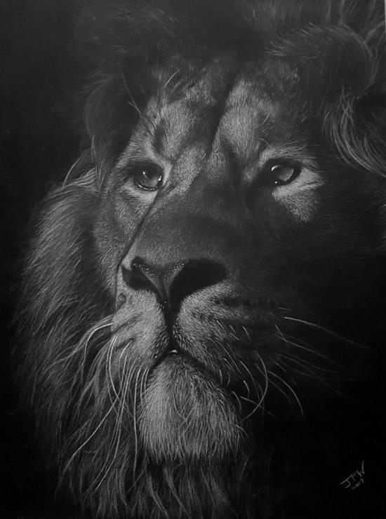 Drawing Lion by JPW Artist | OurArtCorner