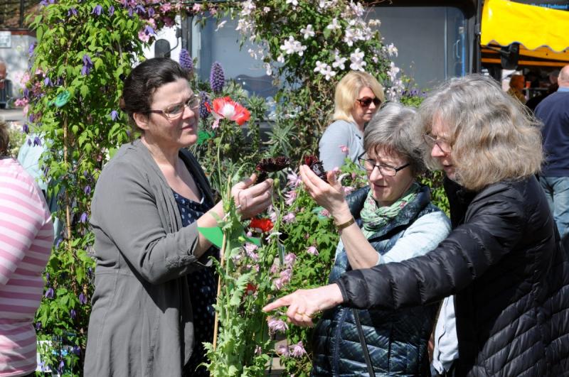 Preview Of Harrogate Spring Flower Show