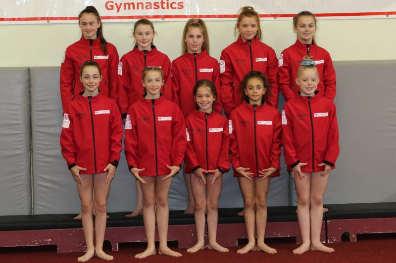 Gymnasts Heading To World Championships With Help From James Legal ...