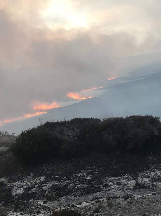 Keepers At Forefront Of Combatting Unprecedented Wildfire