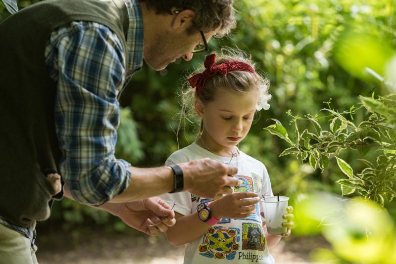 The Wild Takes On The Virtual