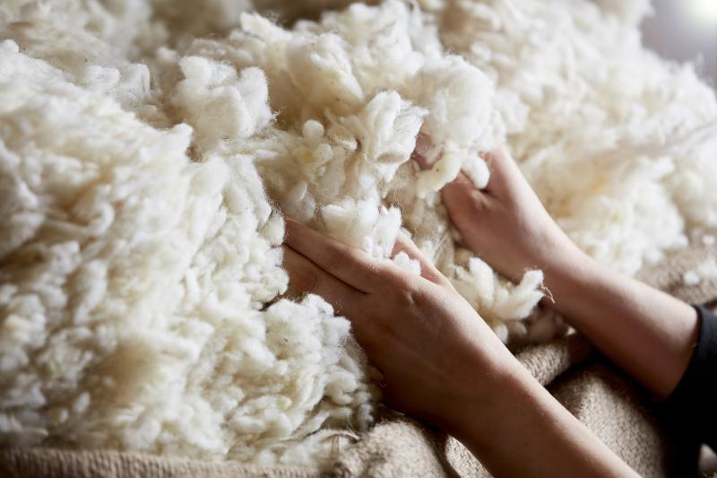 How Much Do You Know About Wool?