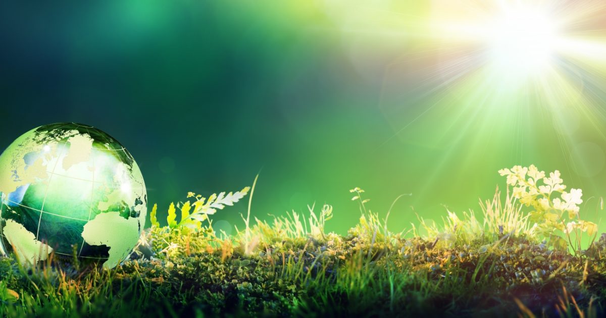 Environmental Policy Scape environmental-policy-scape