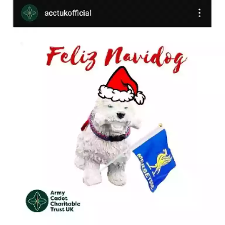 Merseyside Army Cadets | Army Cadets UK