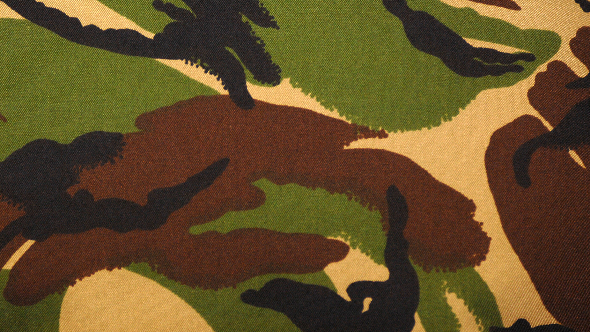 ACF Experts Explain The History Of Camouflage | Army Cadets UK