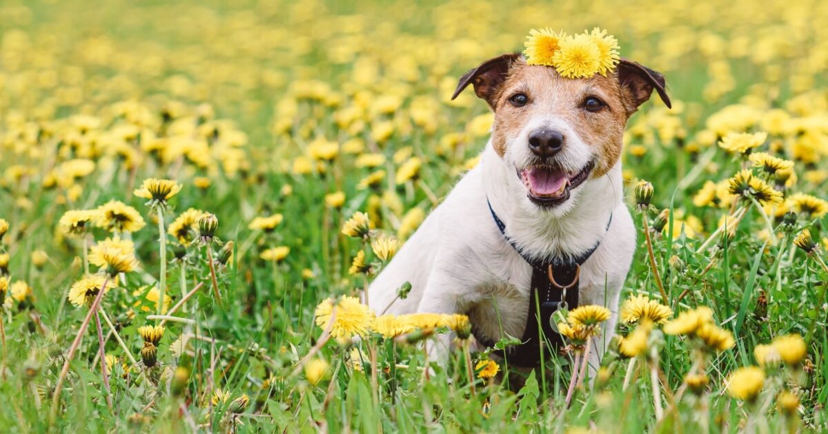 You're doing Sober Spring! | Alcohol Change UK