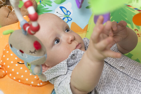 Register for the Baby Charter | Bliss