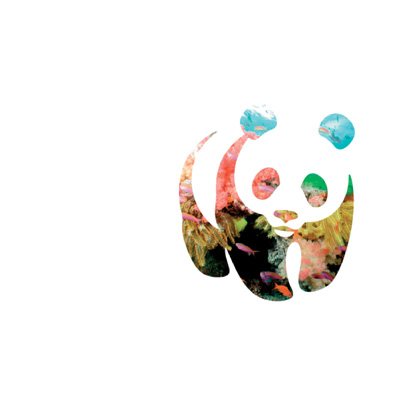 ‘WWF given stronger brand identity’ - a clarification - Design Week