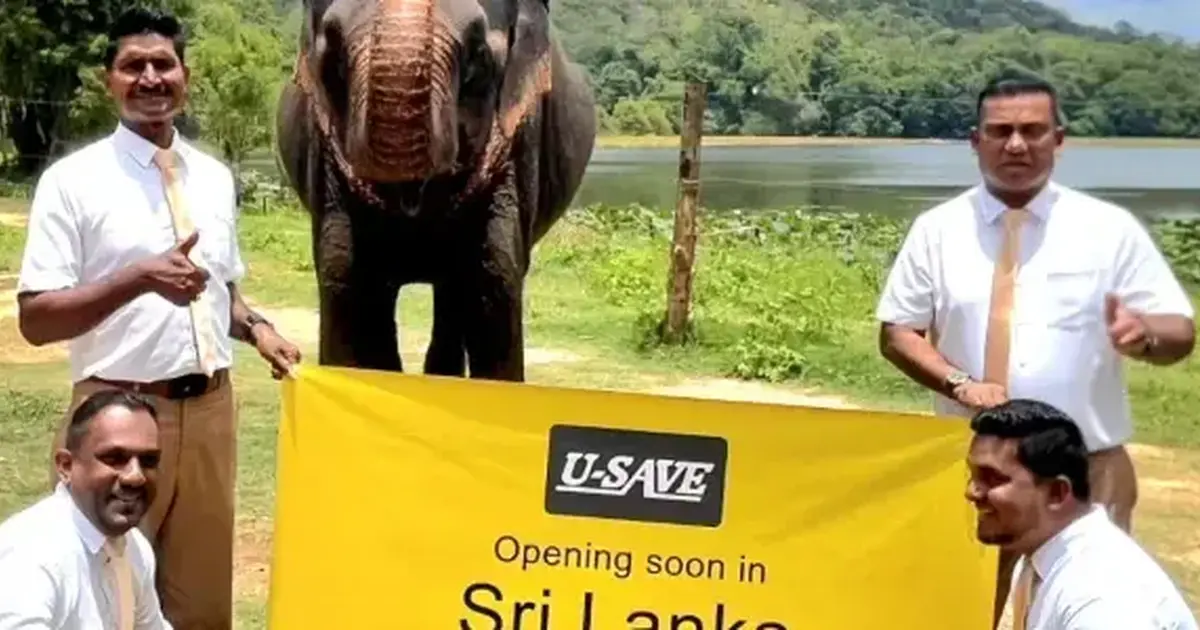 U-Save Car & Truck Rental Expands Global Network with New… | U-Save