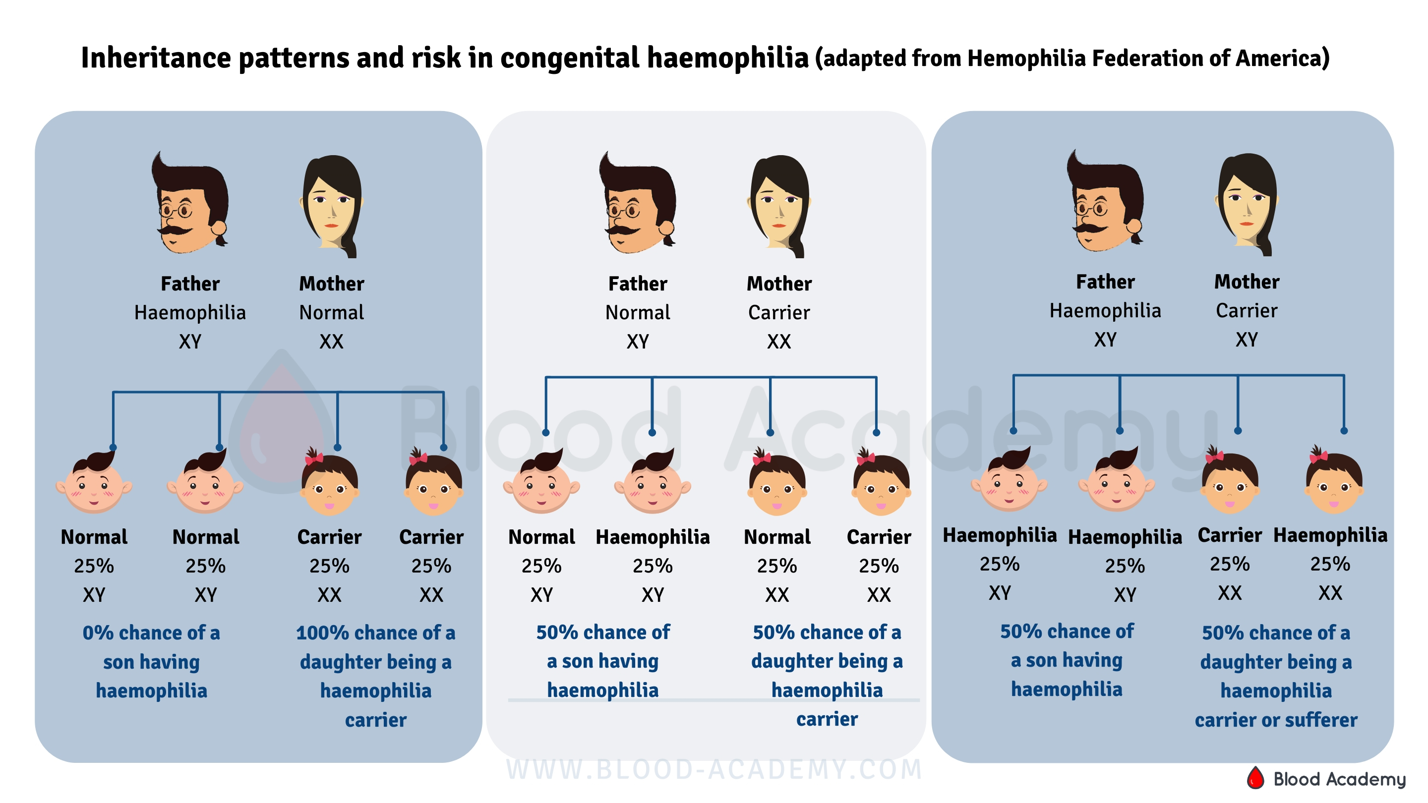 Inheritance patterns and risk in congenital haemophilia - Blood Academy
