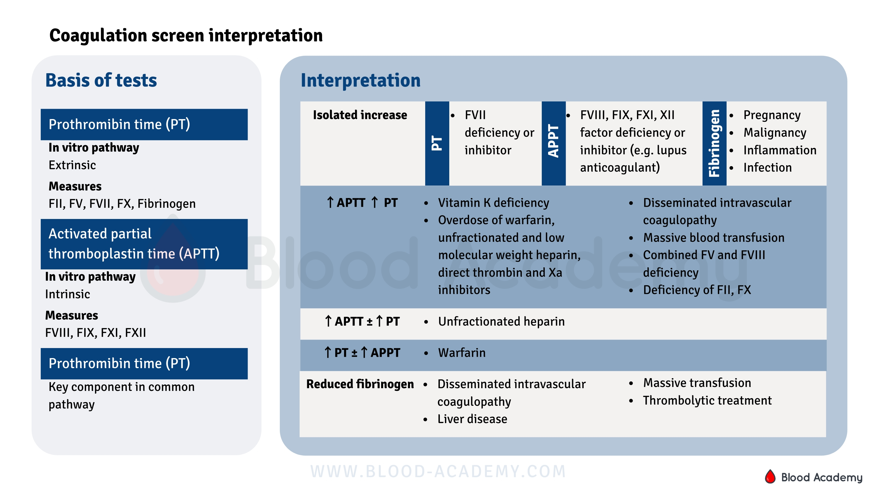 Coagulation screen interpretation - Blood Academy