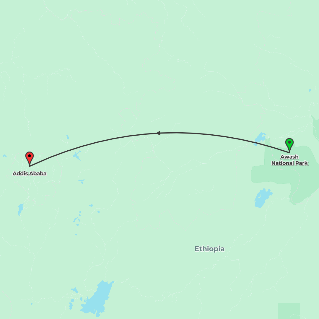 Tour | 3 Days tour to Awash national park safari | Vowland Ethiopia ...