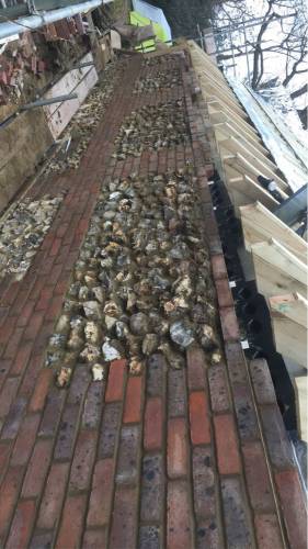 EOD Brickwork - Stoneworker / Stonemason in London