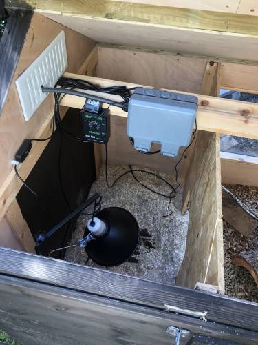 Intech Electrical Solutions - Electrician in Bromley